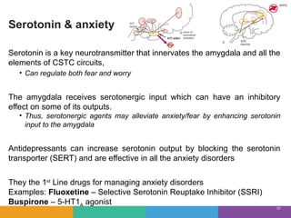 Anti-anxiety Drugs_doctor of pharmacy .pptx