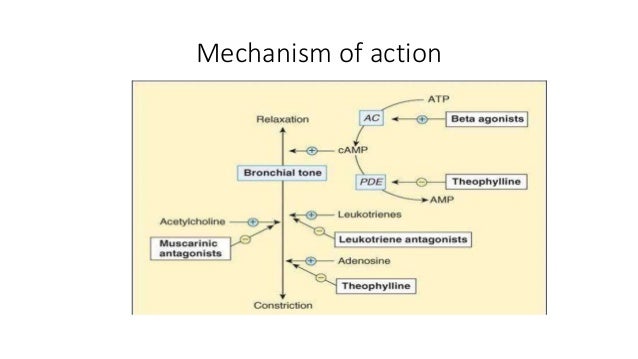 Anti asthmatic drugs ppt