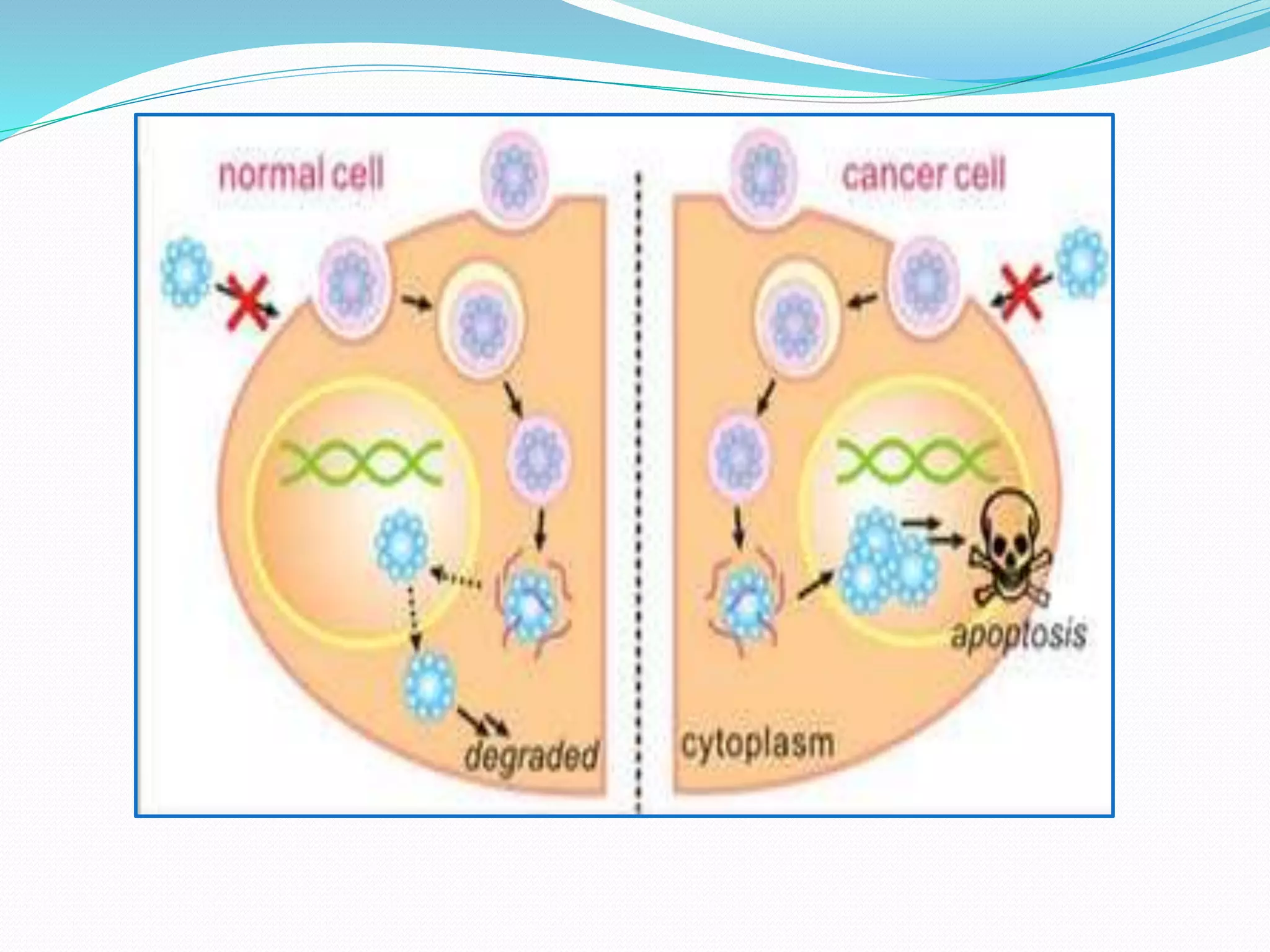 Anti Cancer Drugs | PPTX