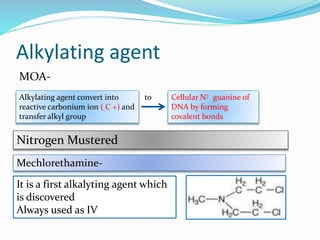 Anti Cancer Drugs | PPTX