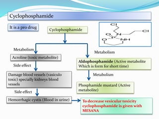 Anti Cancer Drugs | PPTX