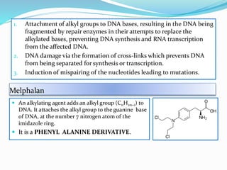 Anti Cancer Drugs | PPTX