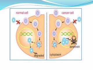 Anti Cancer Drugs | PPTX