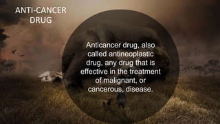 Anti cancer-drug (Bevacizumab) | PPTX