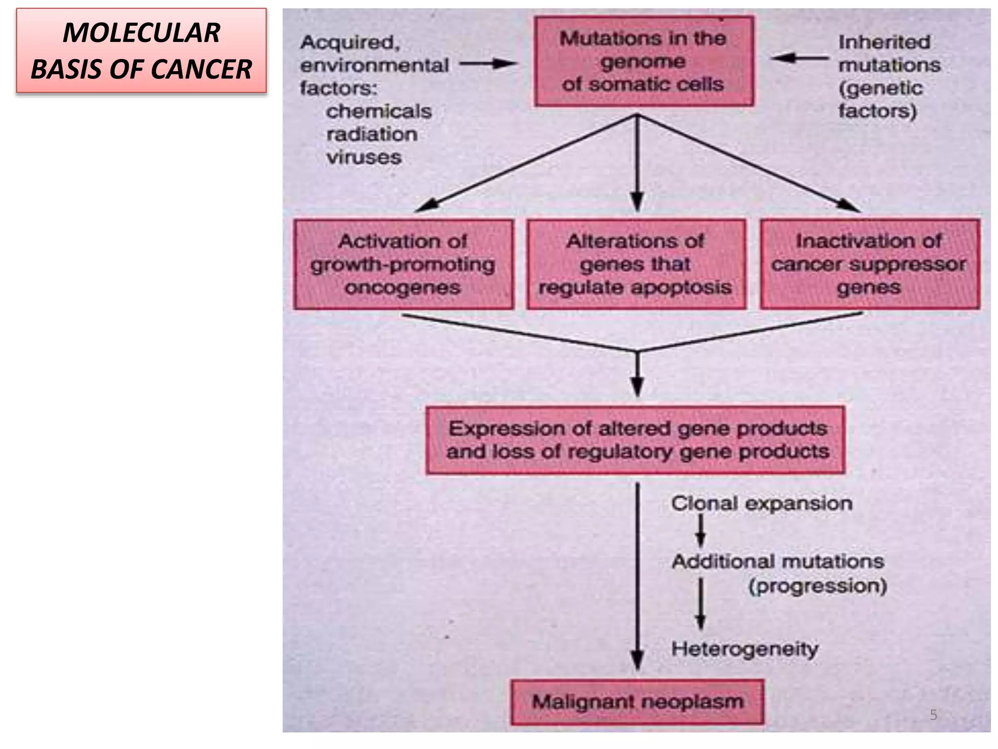 Anti Cancer Drugs | PPTX