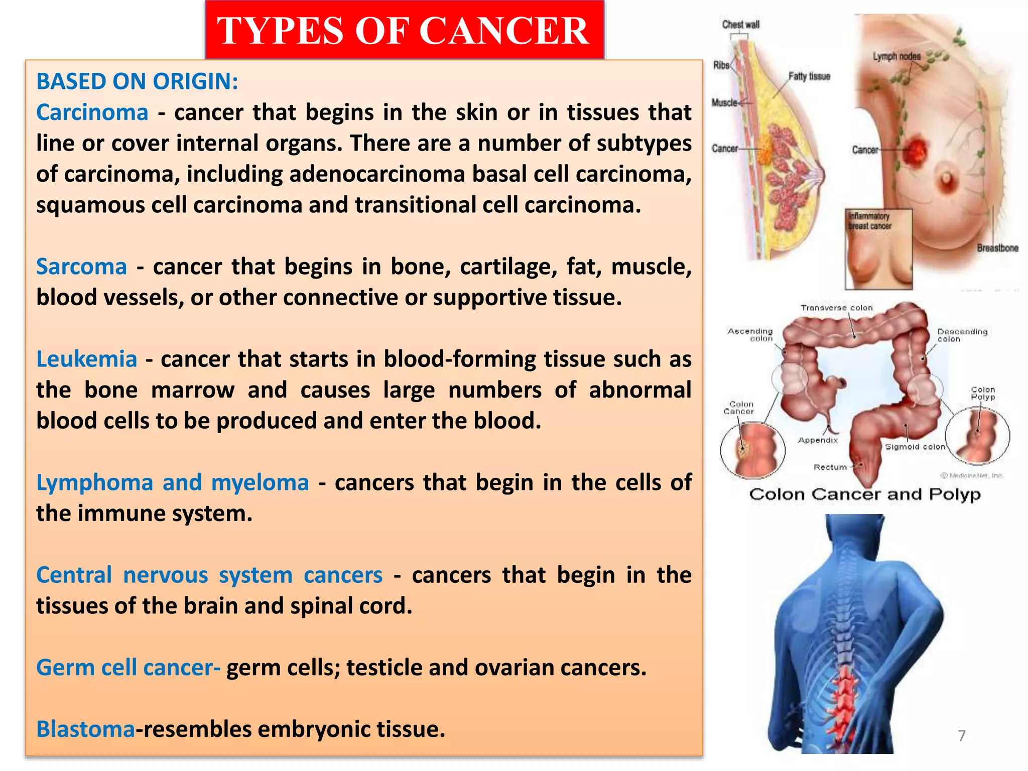Anti Cancer Drugs | PPTX