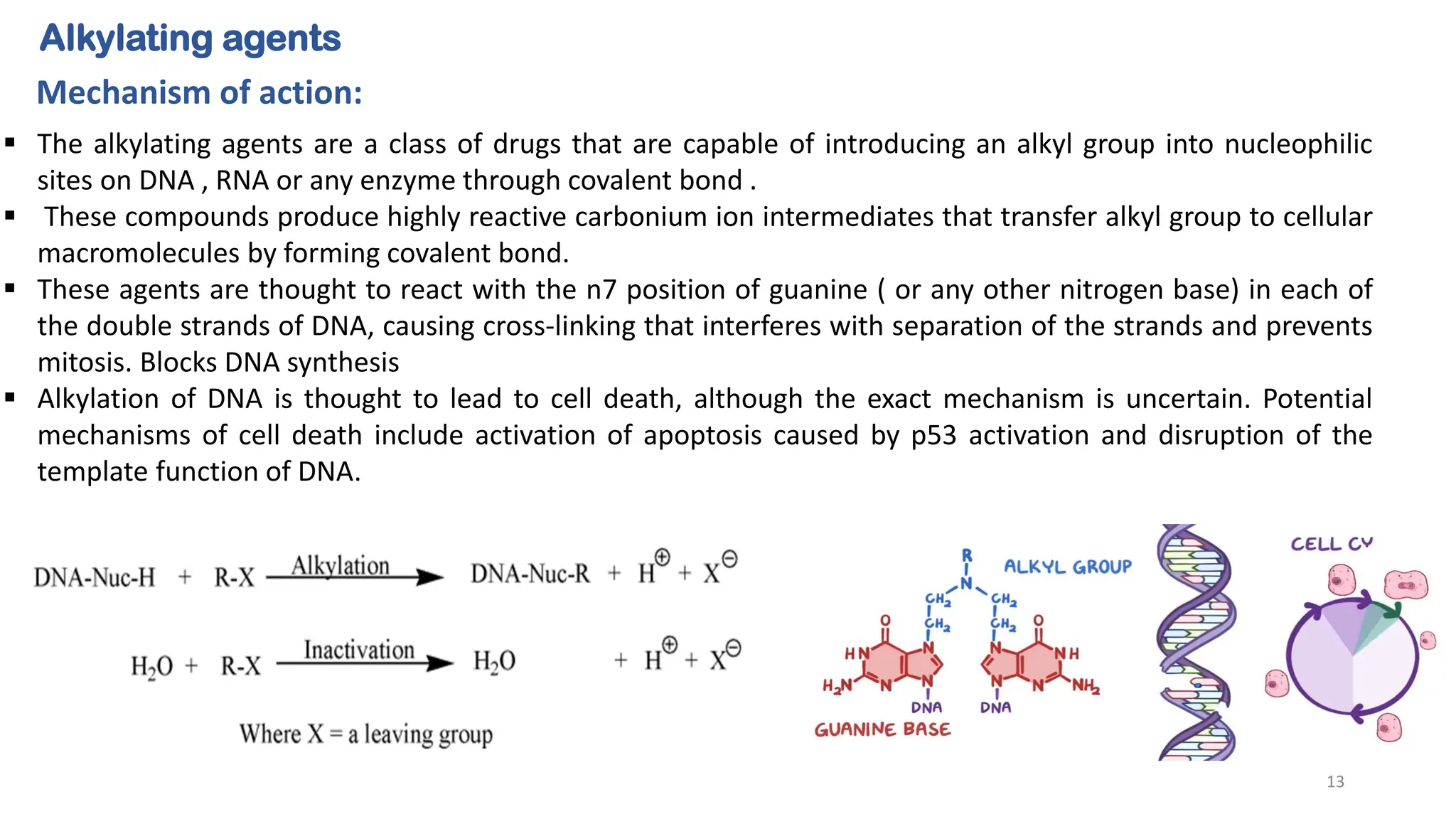Anti-Cancer Drugs-Alkylating agents | PDF