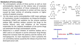 Anti-Cancer Drugs-Medicinal Chemistry | PDF
