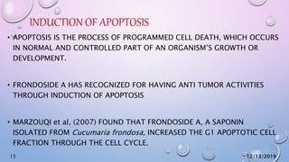 Anti cancer properties of sea cucumber | PPTX