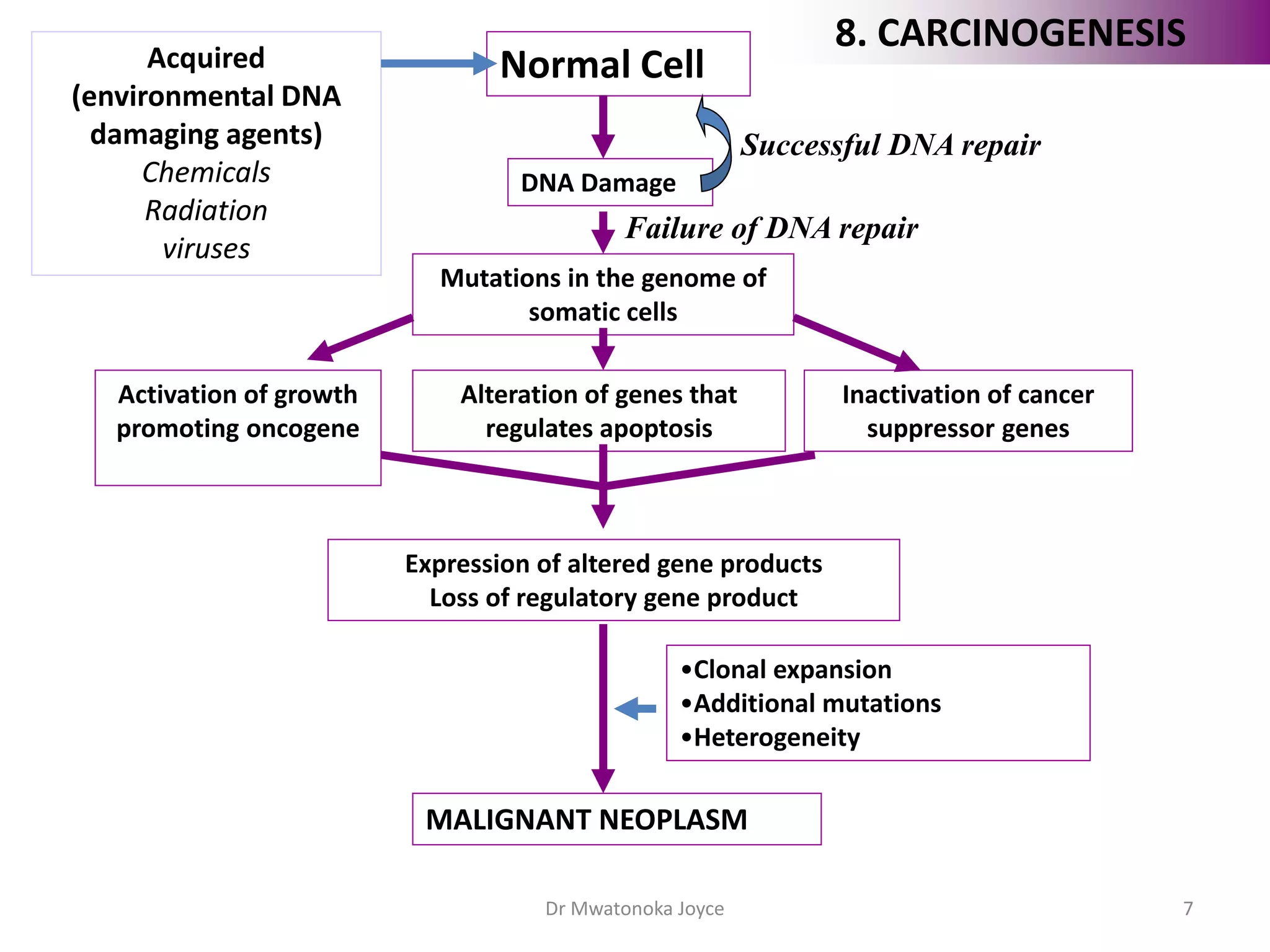 Anti-cancers and their mechanism of action | PPTX