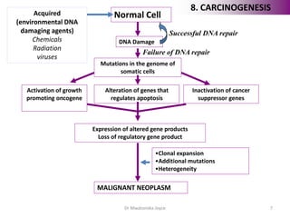 Anti-cancers and their mechanism of action | PPTX