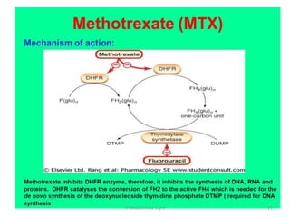 Methotrexate Mechanism Of Action In Cancer