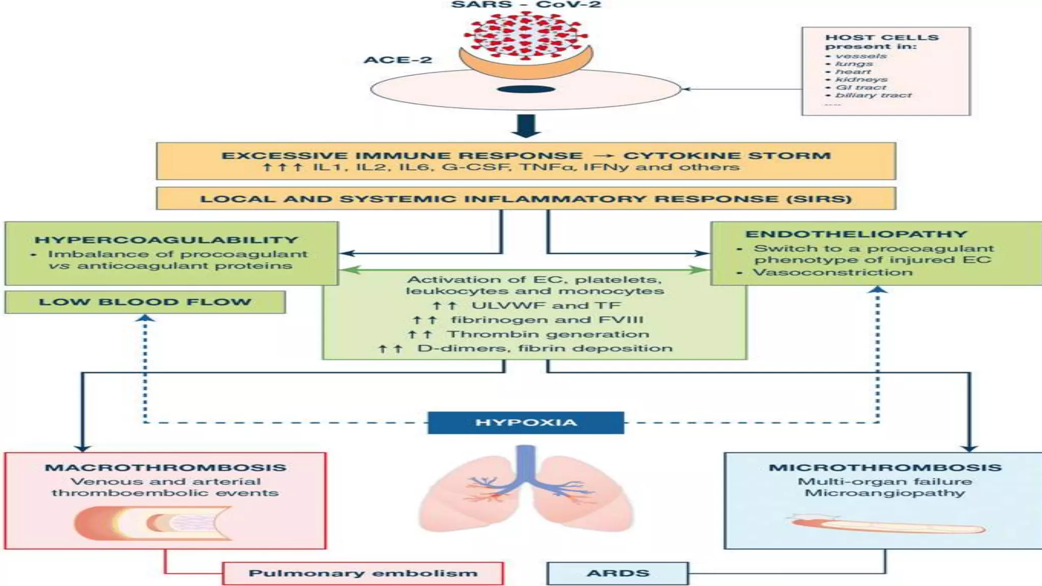 NOAC( Novel Oral Anticoagulants) uses in the current era | PPSX