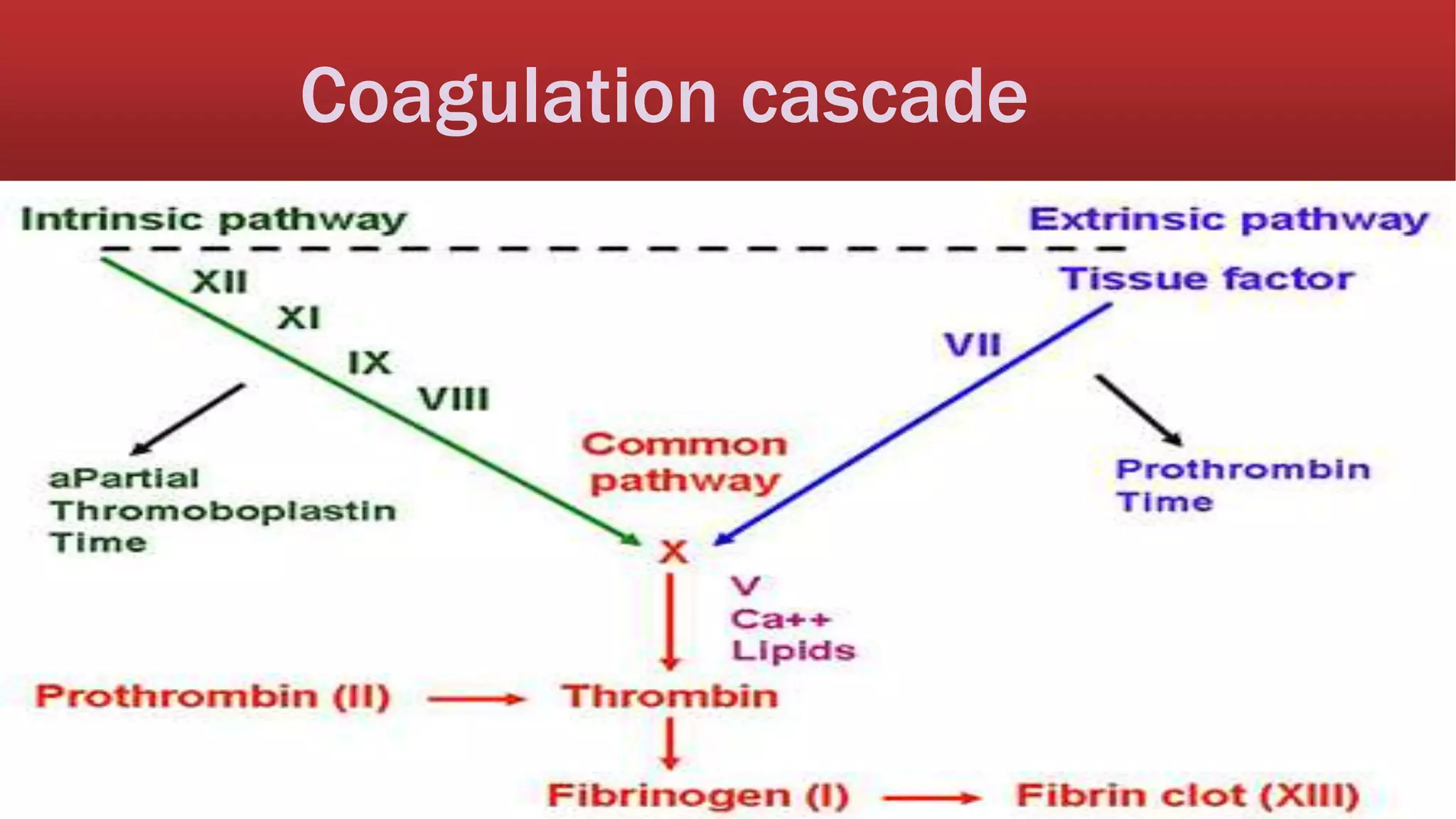 NOAC( Novel Oral Anticoagulants) uses in the current era | PPSX