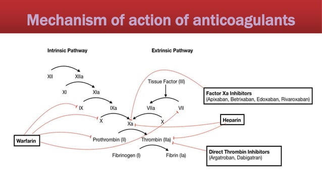 NOAC( Novel Oral Anticoagulants) uses in the current era | PPSX