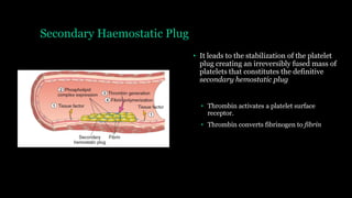Anti coagulants & fibrinolytics | PPTX