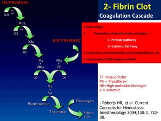 Anti coagulationin patient with ckd Prof.Basset El Essawy MD ph D | PDF