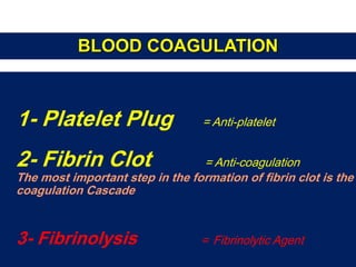 Anti coagulationin patient with ckd Prof.Basset El Essawy MD ph D | PDF