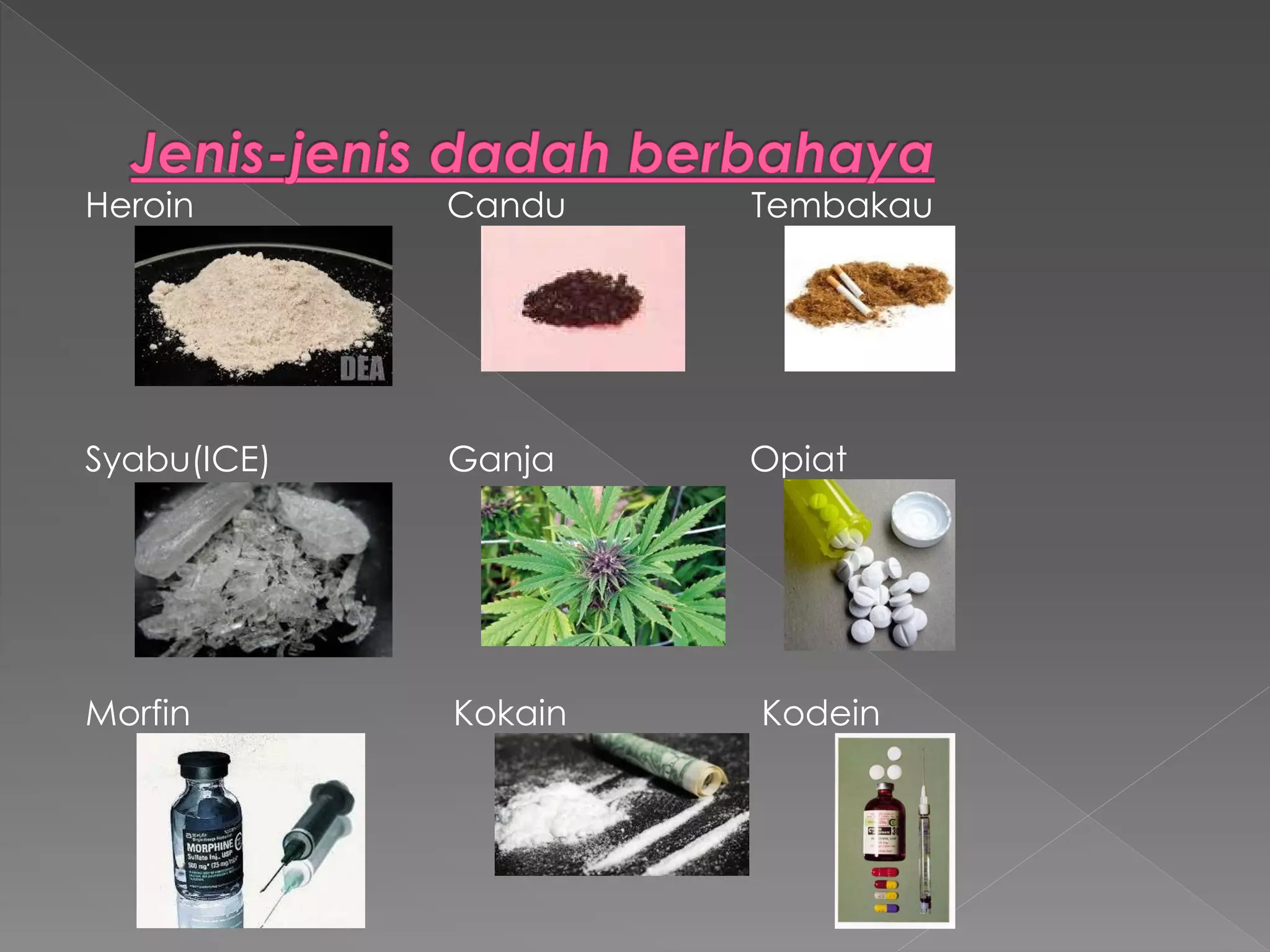 Anti dadah | PDF