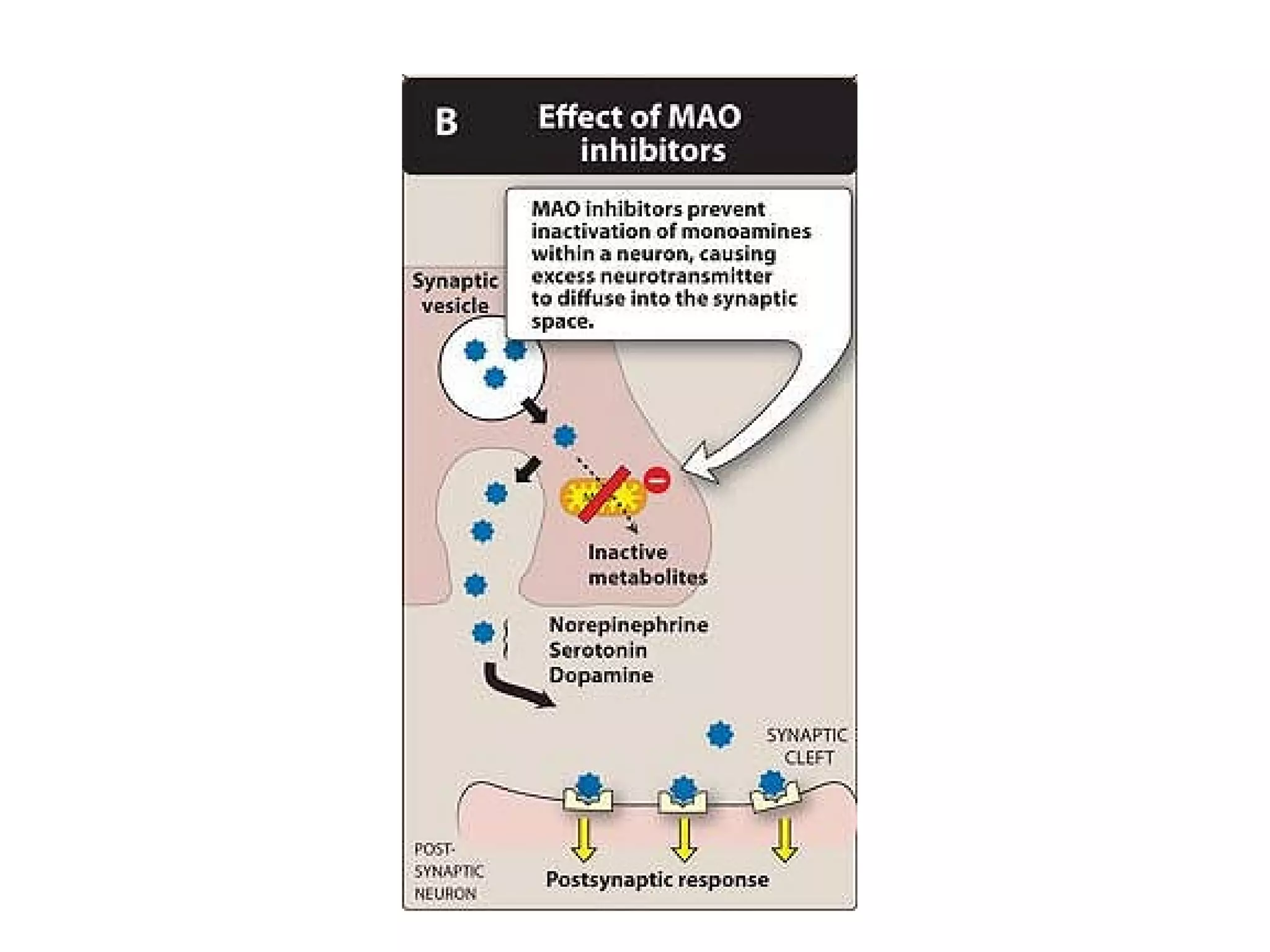 Anti -depressants: classification & mechanism of action | PPT
