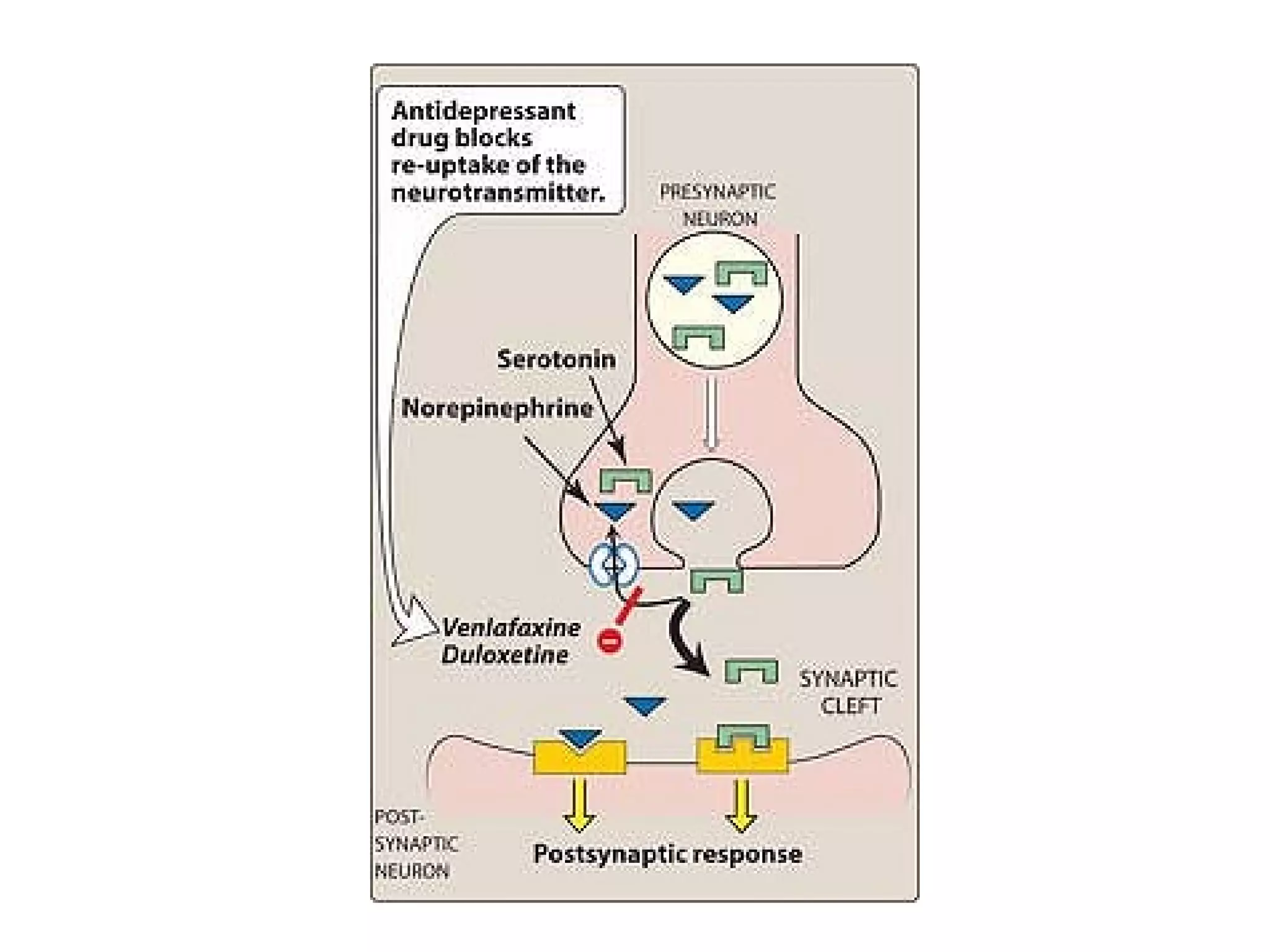 Anti -depressants: classification & mechanism of action | PPT