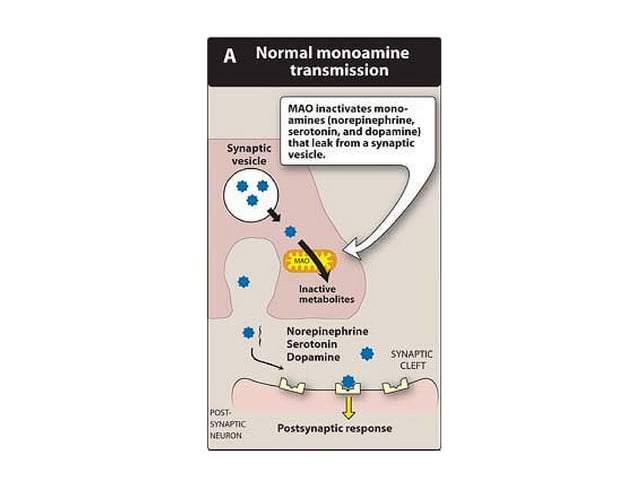 Anti -depressants: classification & mechanism of action | PPT