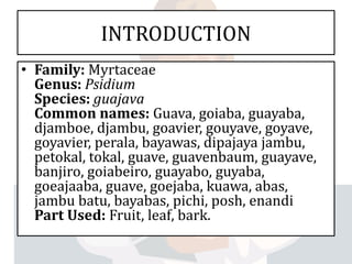 Anti diabectic effect of guava leaves upon alloxan | PPTX | Herbs and ...