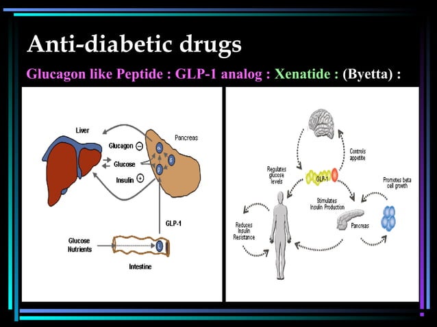 Anti diabetic drugs | PPT | Endocrine and Metabolic Diseases | Diseases ...