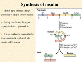 Anti diabetic drugs | PPT