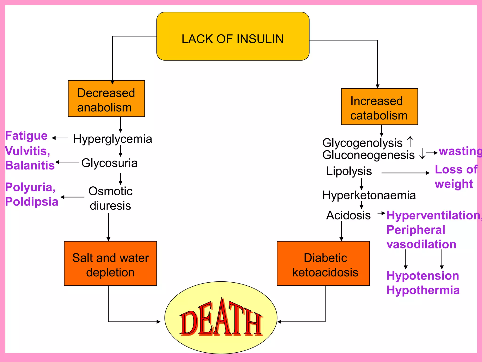 Anti diabetic drugs | PPT
