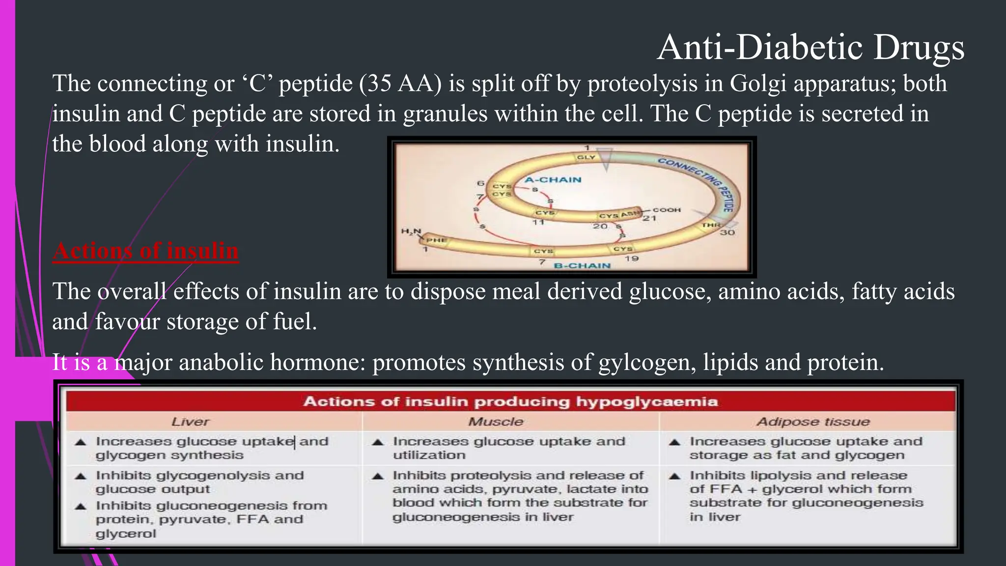 Anti-Diabetic Drugs ppt.pptx