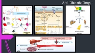 Anti-Diabetic Drugs ppt.pptx