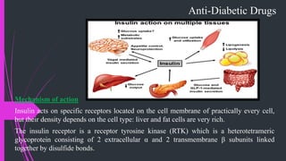 Anti-Diabetic Drugs ppt.pptx