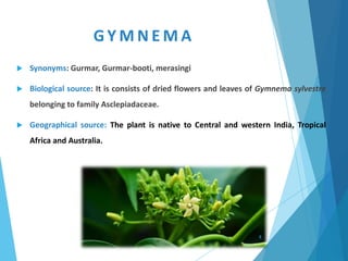 ANTI-DIABETICS DRUGS - PTEROCARPUS AND GYMNEMA | PDF