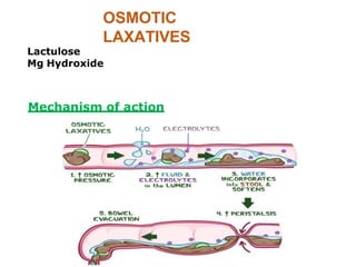 Anti-diarrhoeal-drugs-Drugs-for-constipation.pptx | Digestive Disorders ...