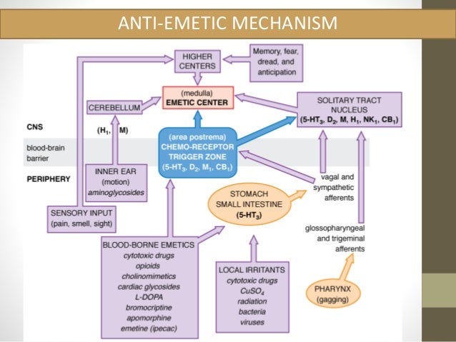Anti emetics