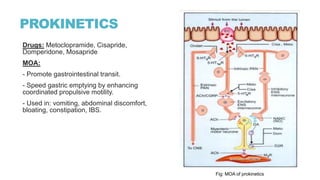 ANTI-EMETICS AND PROKINETICS IN PHARMACY. | PPT