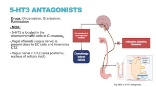 ANTI-EMETICS AND PROKINETICS IN PHARMACY. | PPT
