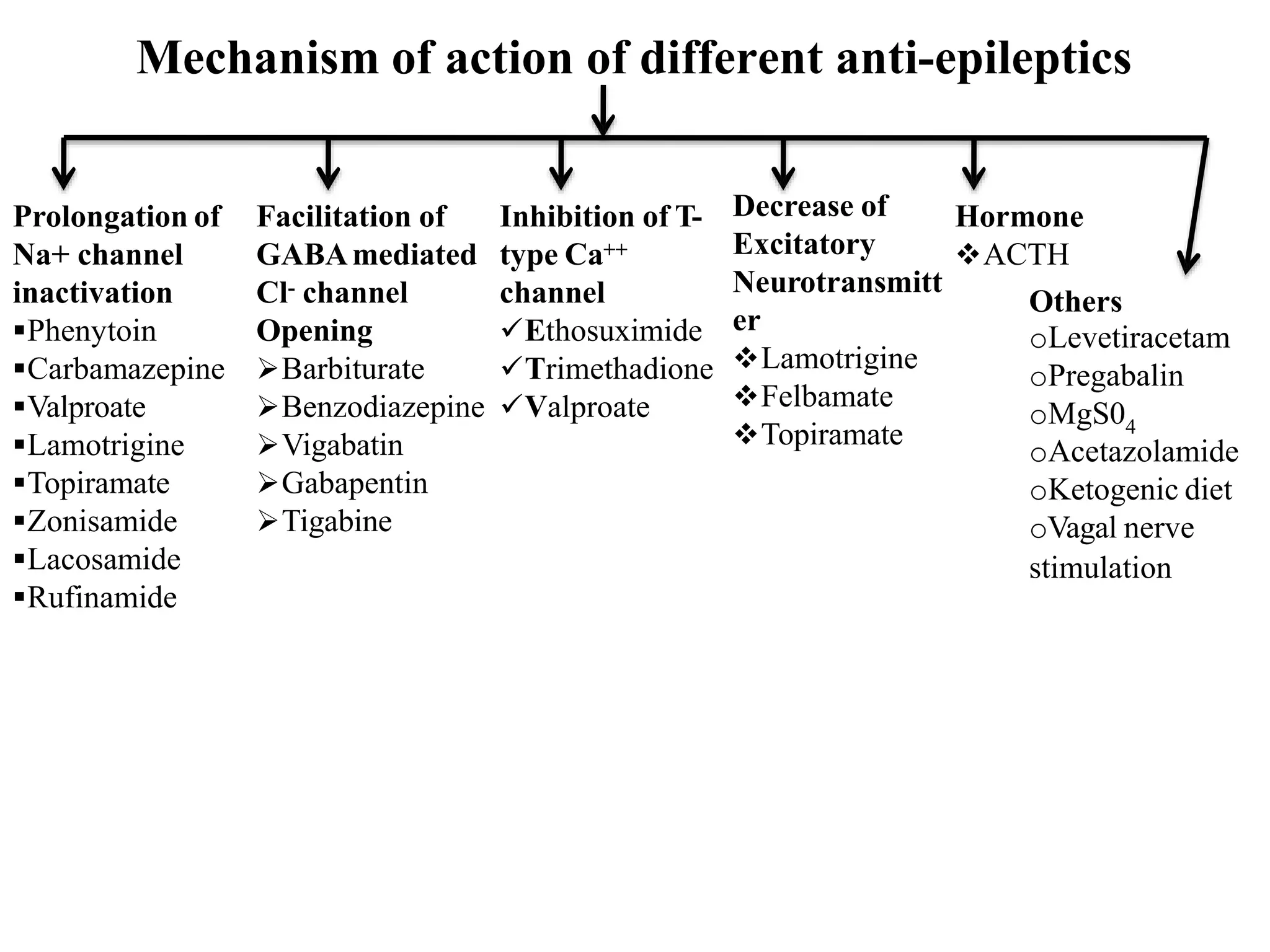Anti-Epileptic drugs | PPTX