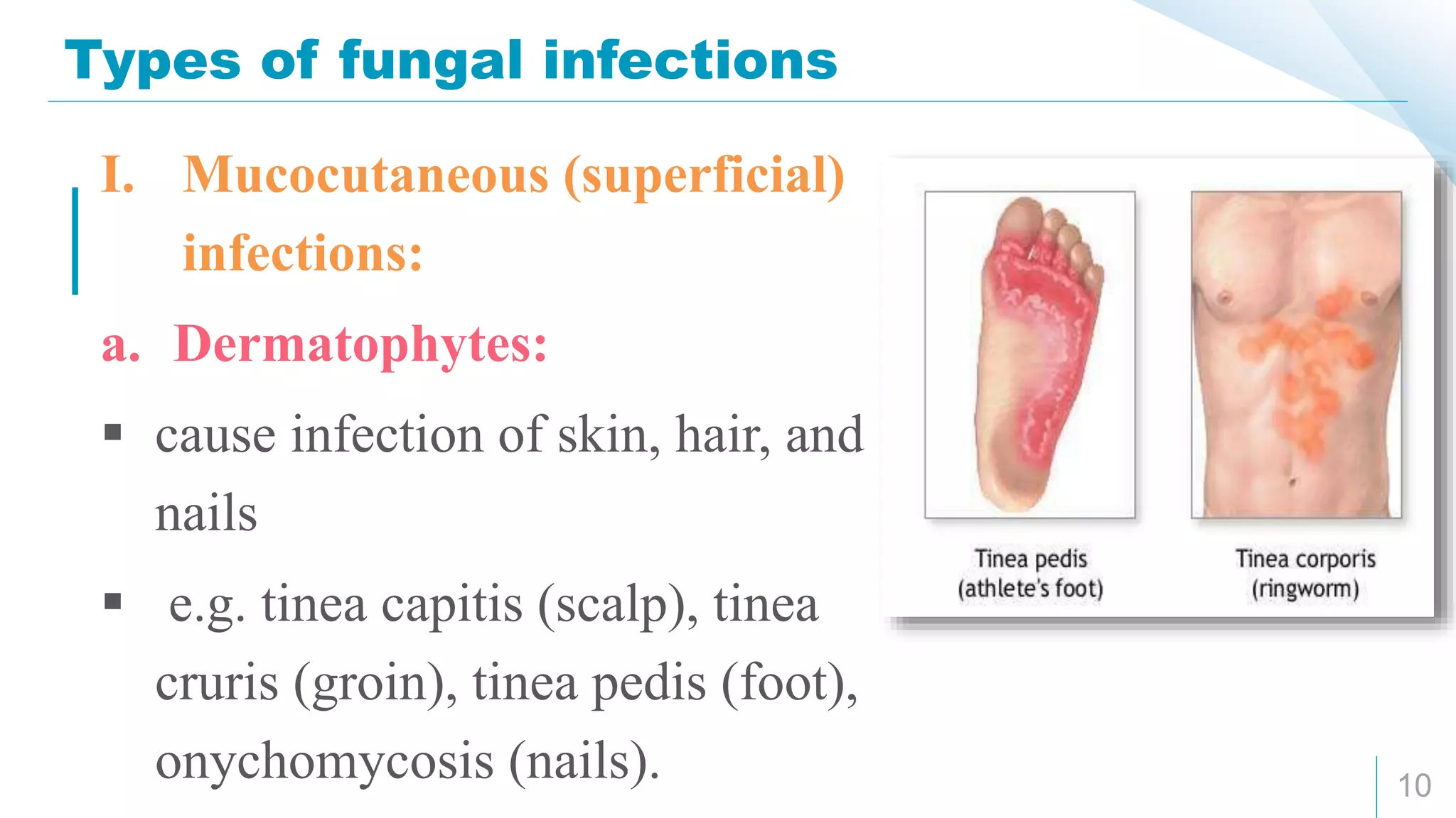 Anti-Fungal drugs | PPTX