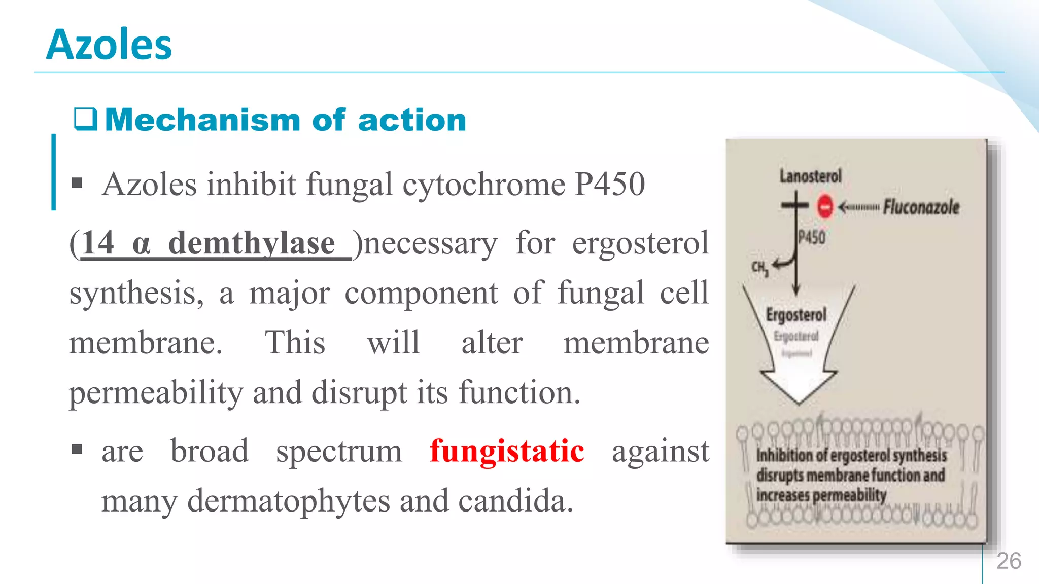 Anti-Fungal drugs | PPTX