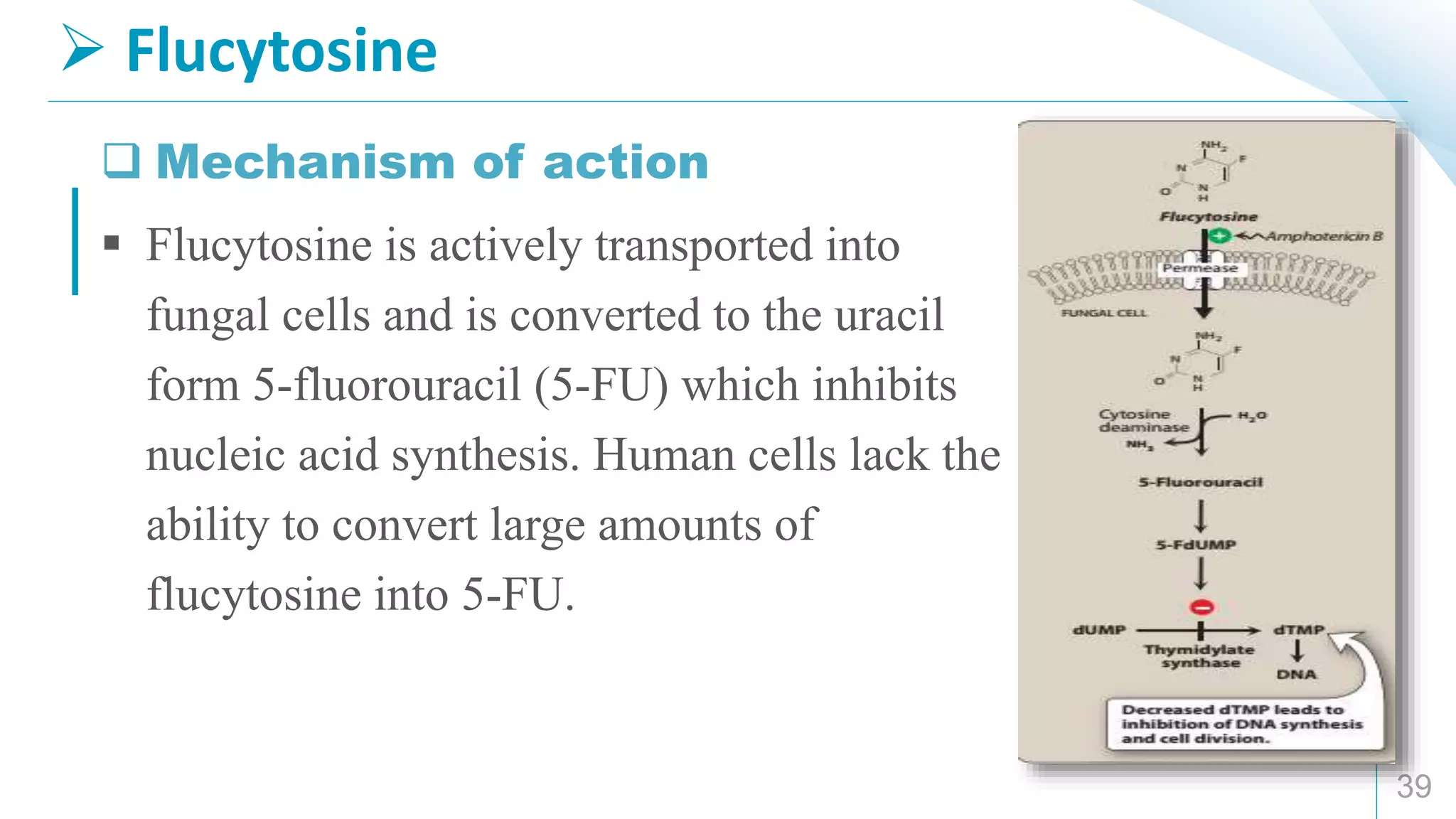 Anti-Fungal drugs | PPTX