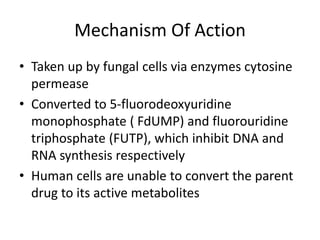 Anti-fungal Agents 25-8-15 (1).pptx pharmacology | PPTX