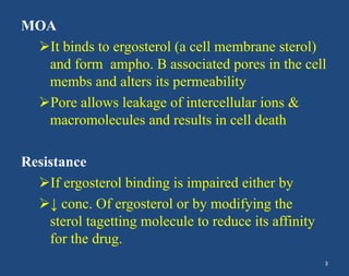 Anti fungal (amphotericin b) | PPTX