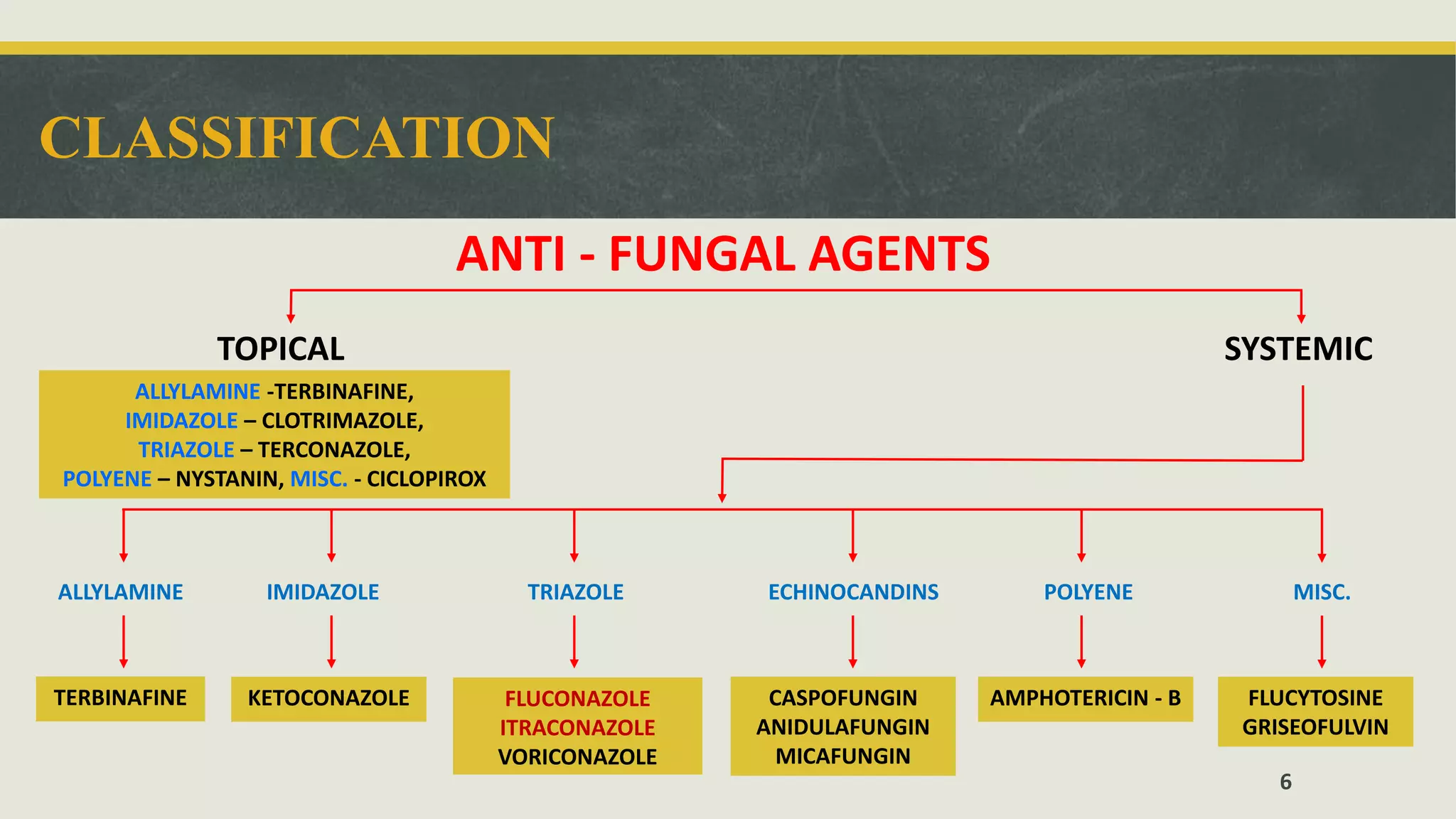 Anti fungal drugs | PPTX