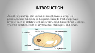 Anti fungal drugs | PPTX