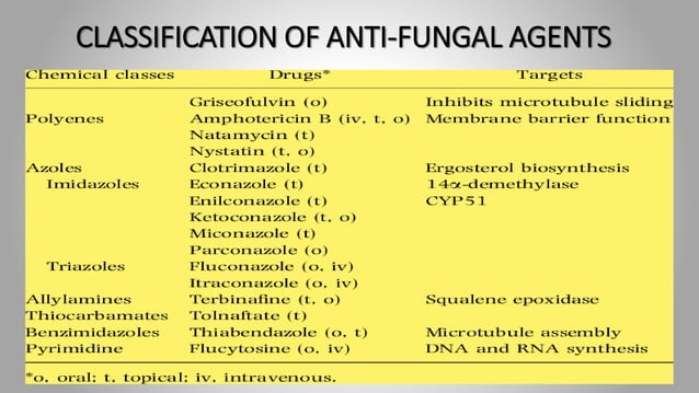 Anti fungal drugs | PPT
