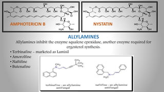 Anti fungal drugs | PPT