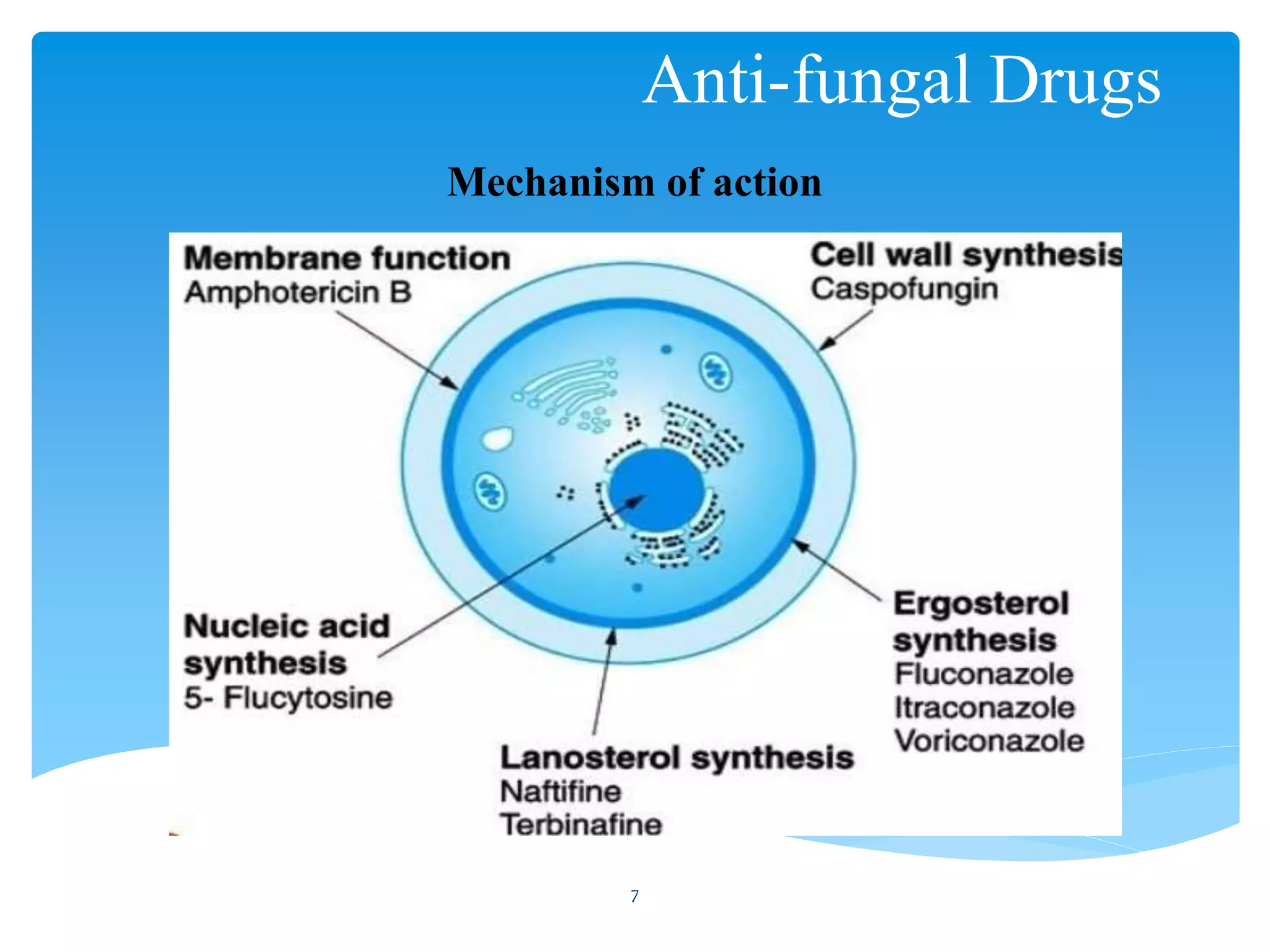Anti fungal drugs (Antibiotics) | PDF