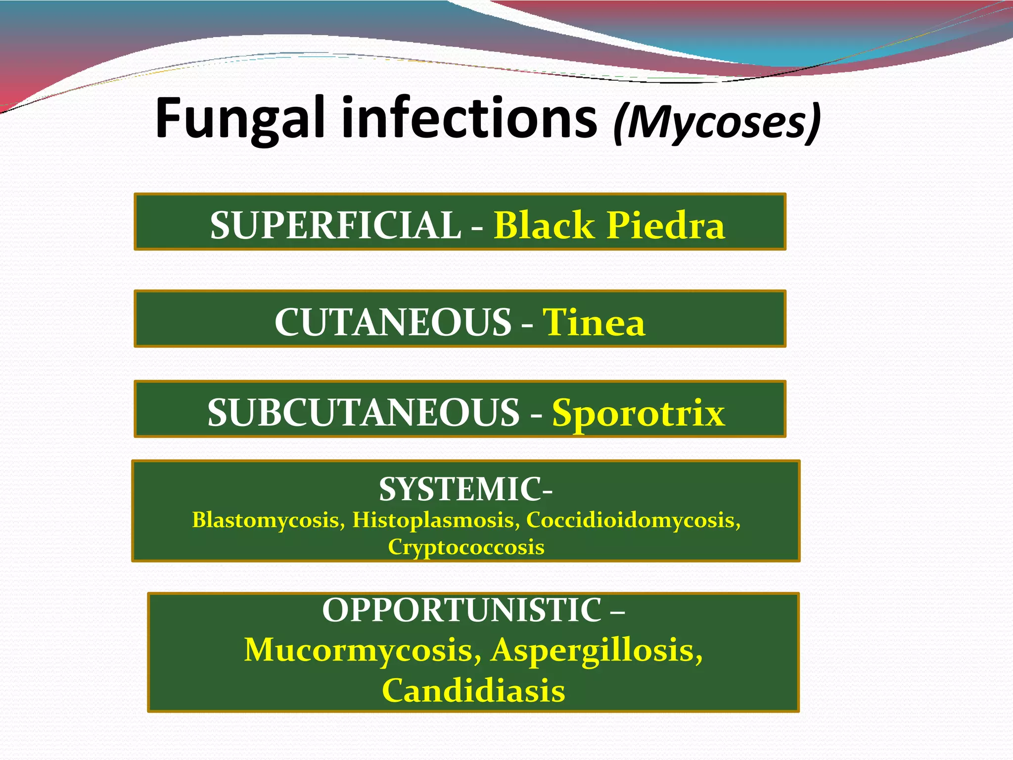 Anti-Fungal drugs.pptx